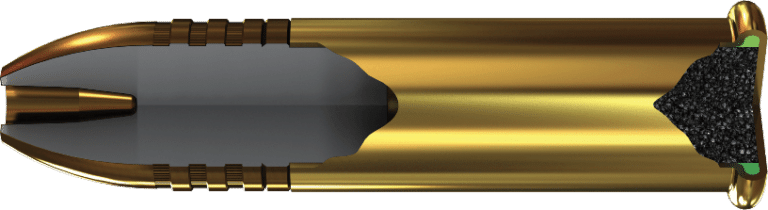 Rimfire: The Perfect Intro to the Shooting Sports - Shoot United